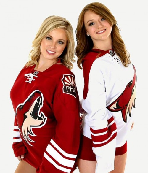 A Collection of Smoking hot Puck Bunnies : Ice Girls : NHL Babes